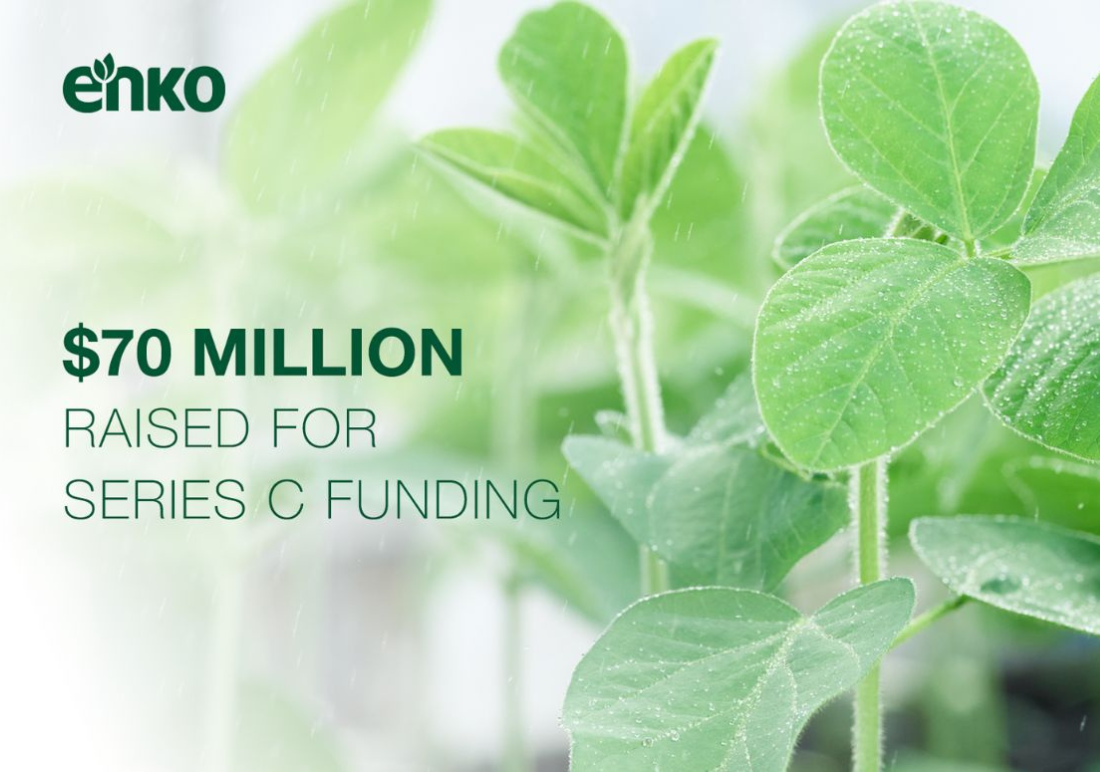 How Enko’s $70 million Series C funding will help grow healthy crops using AI